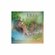 Диск Leo Rojas - Flying Heart (1 CD)
