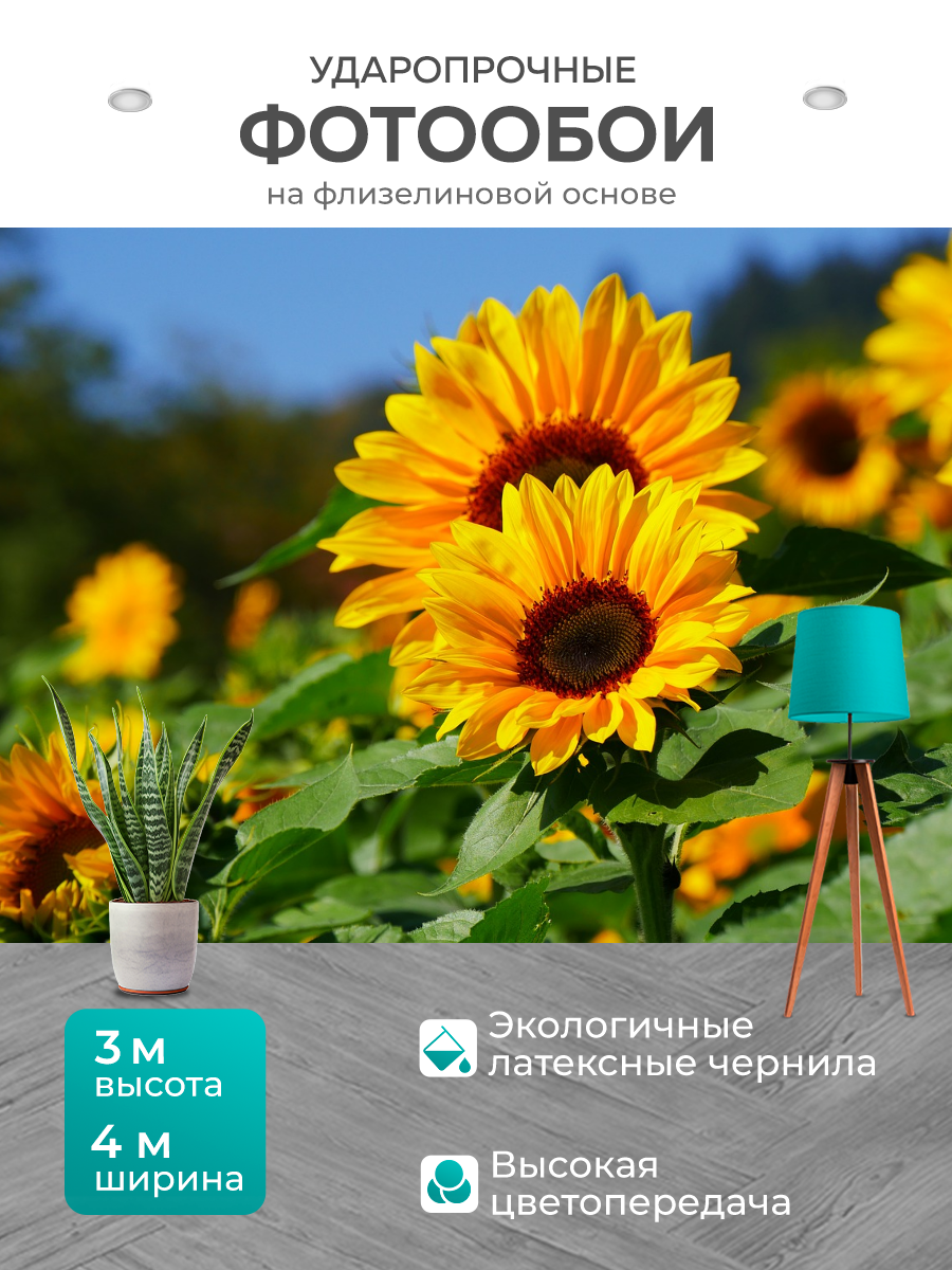 Фотообои моющиеся ударопрочные "Подсолнухи, летом, подсолнух" 400x300 см. флизелиновые на стену