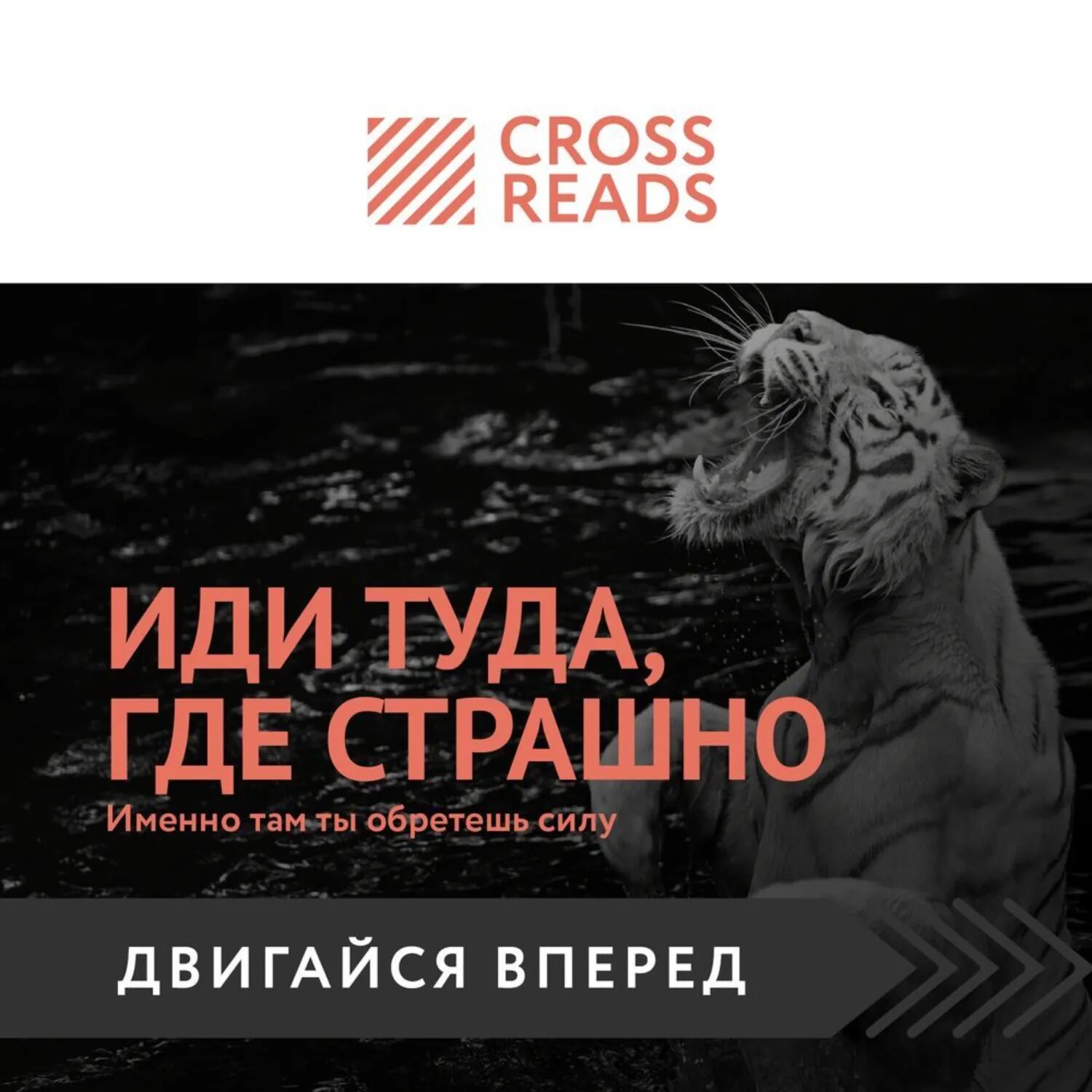 Саммари книги «Иди туда, где страшно. Именно там ты обретешь силу» [Аудиокнига]