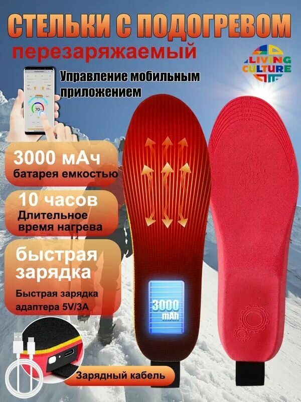 LivingCC Стельки для обуви 2 шт