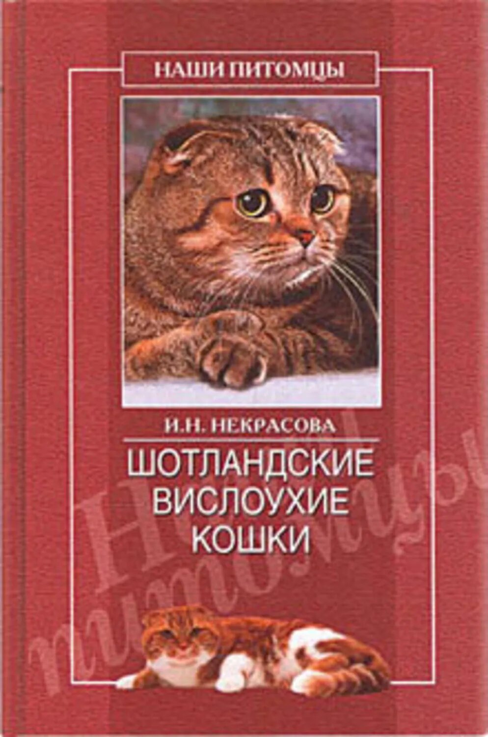 Шотландские вислоухие кошки [Цифровая книга]