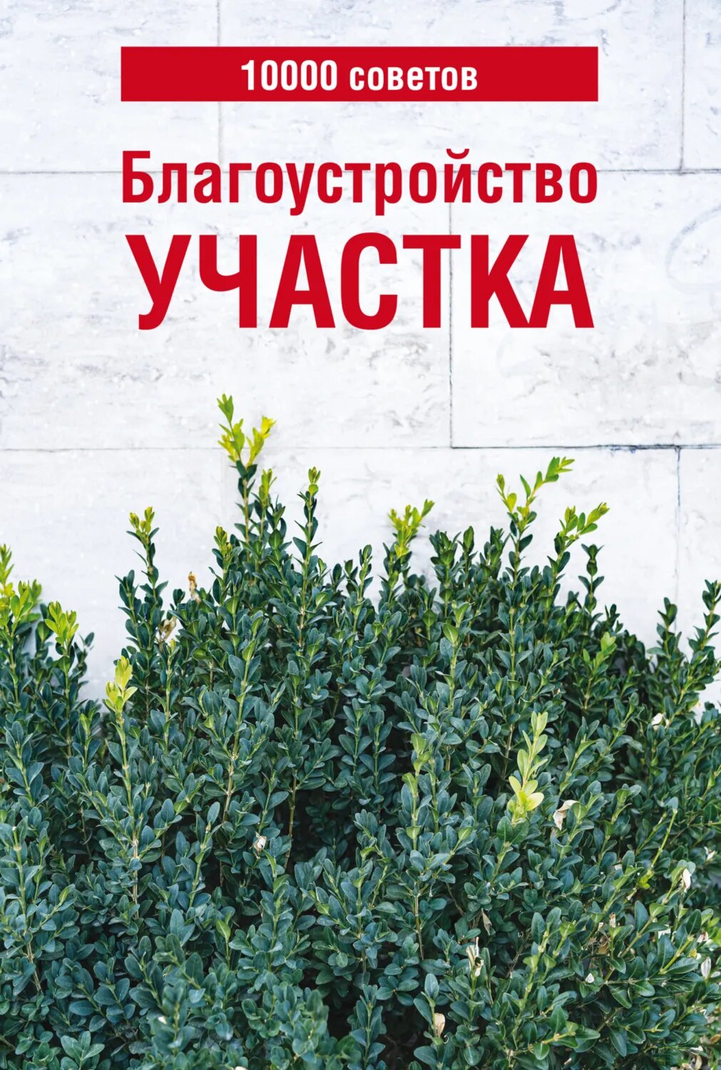 10000 советов. Благоустройство участка [Цифровая книга]