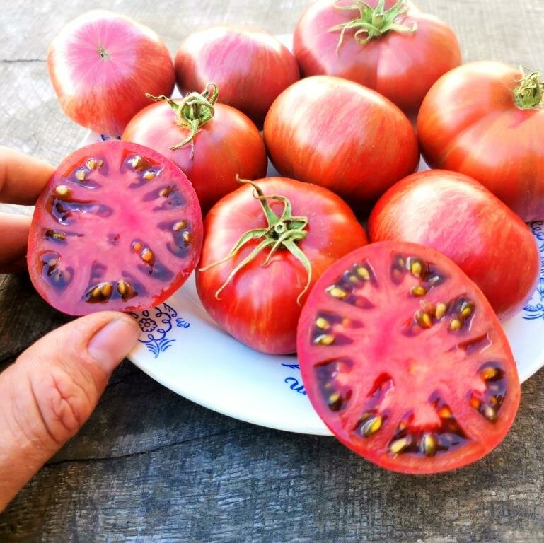 Семена томата "Чёрный Карликовый Тигр Чероки", 10-15 семян, раннеспелые, урожайные