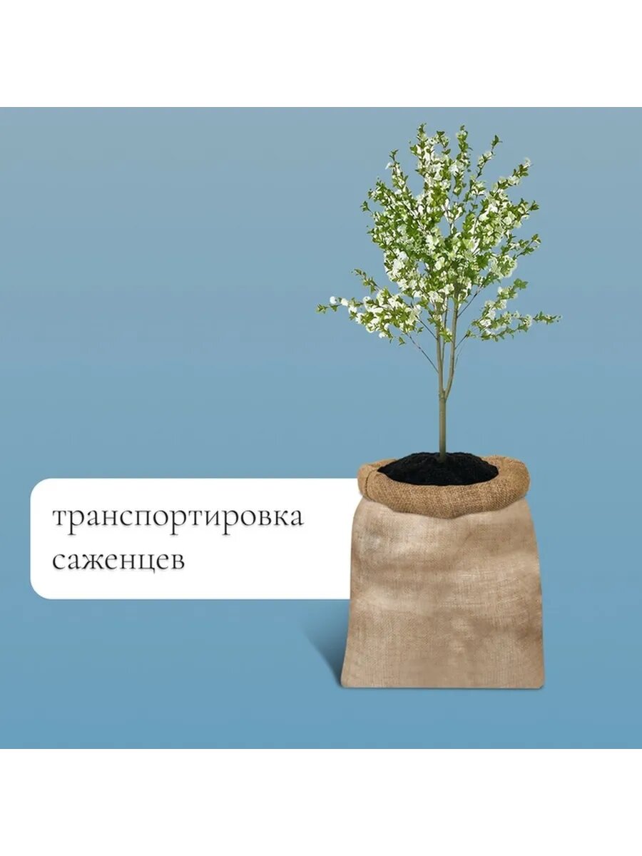 Экологический джутовый мешок для урожая и хранения
