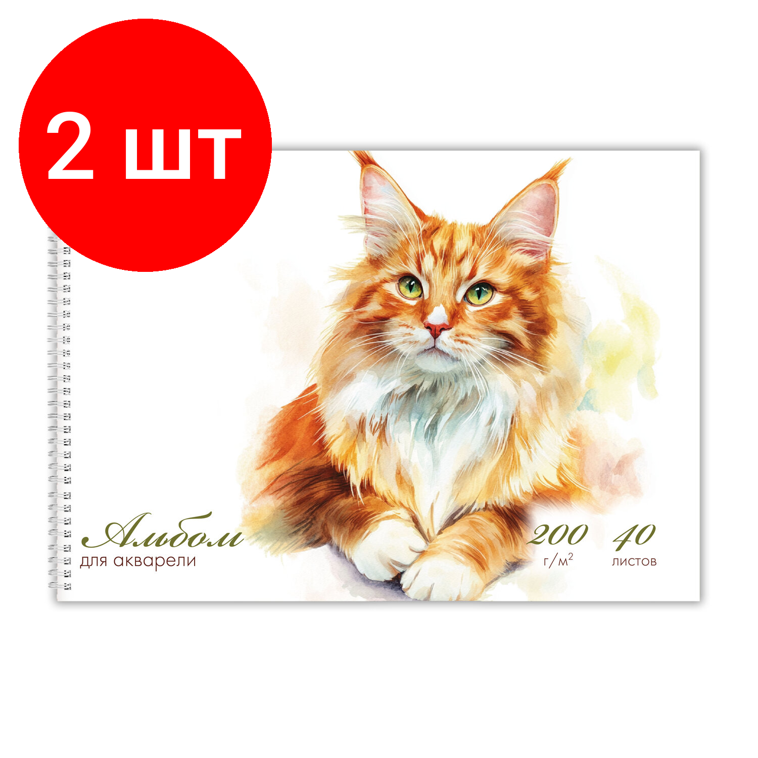 Комплект 2 шт, Альбом для акварели А4 40 л, бумага 200 г/м2, гребень, твердая подложка, BRAUBERG, "Мейн-кун", 116884