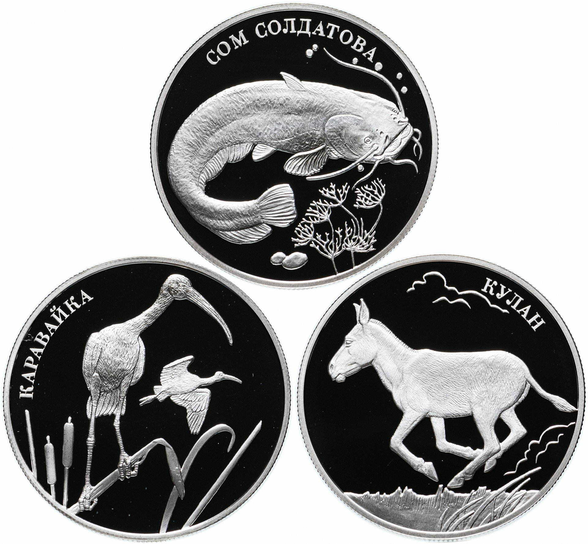 2 рубля 2014 года ММД Proof "Красная книга - Кулан, Каравайка, сом Солдатова" набор 3 штуки, Серебро 925