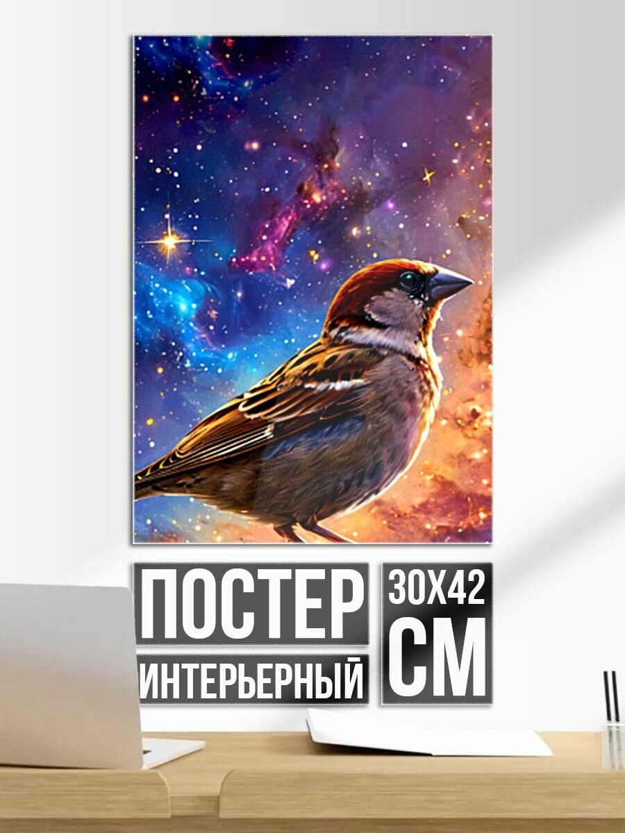 Постер на стену Воробей в космосе