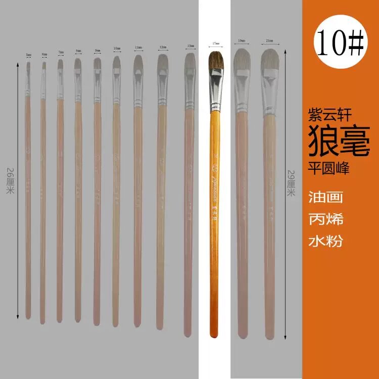 Ziyunxuan Плоская круглая масляная живопись, акрил, гуашь, 12 штук, деревянная ручка, одиночный набор, искусство для студентов, специальное ручное рисование