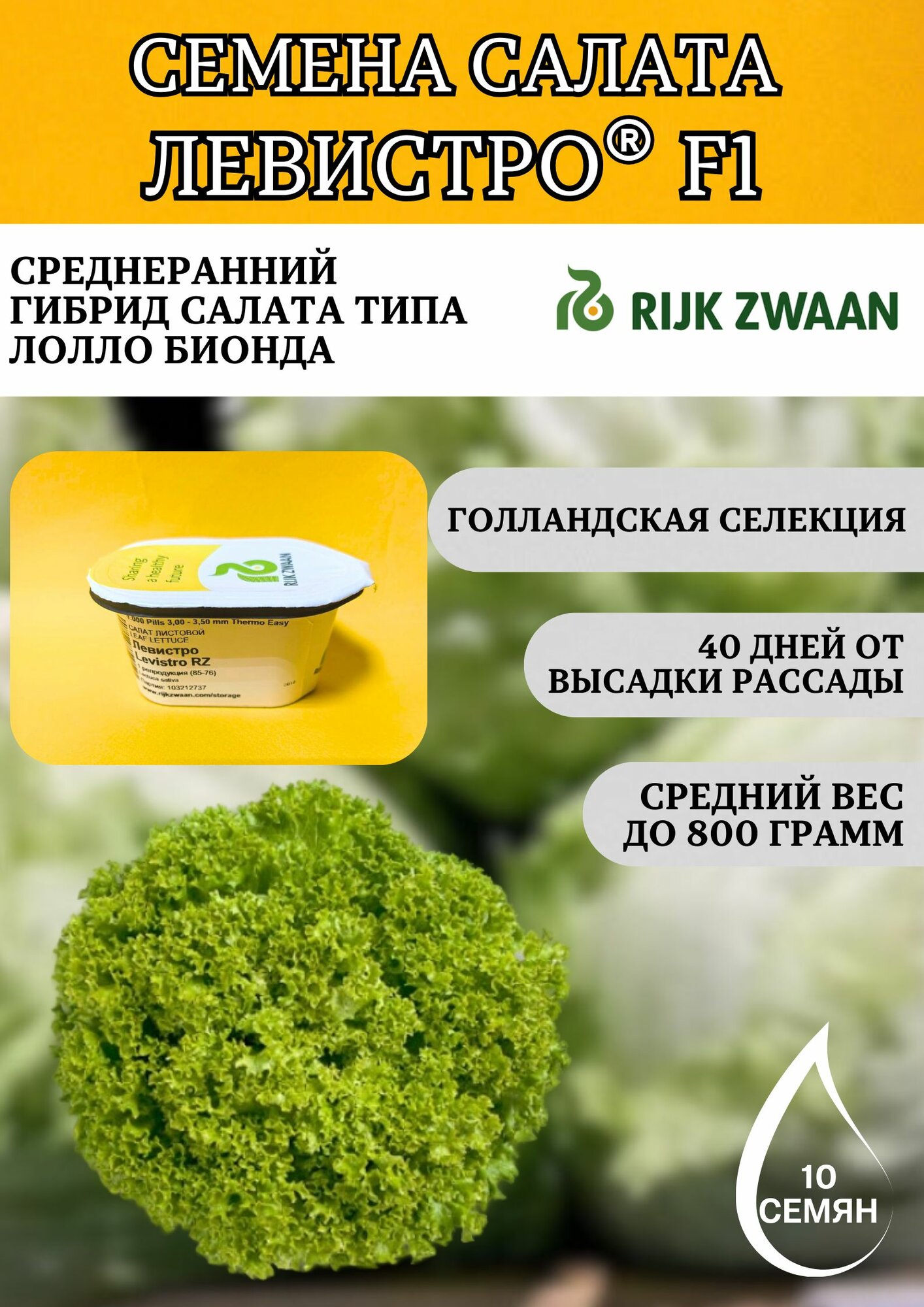 Профессиональные семена Салата Левистро Rijk Zwaan F1 10 семян