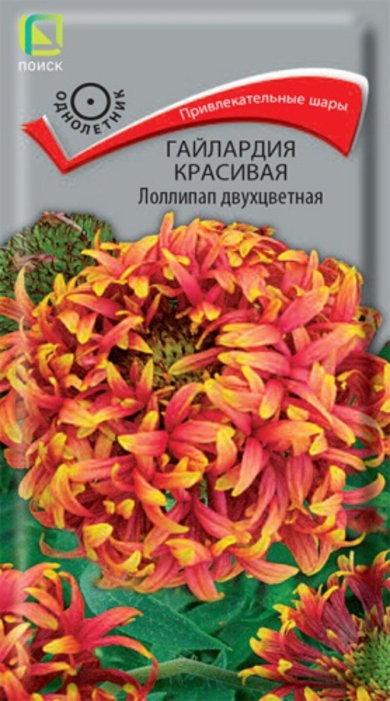 Семена Гайлардия Красивая Лоллипап двухцветная (0,1 г), Агрофирма Поиск