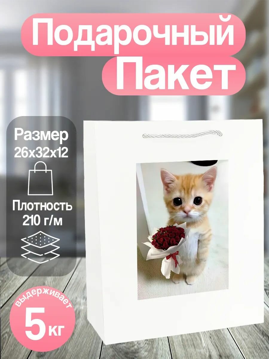 Пакет подарочный на 14 февраля, упаковка для подарка, 26х31 см