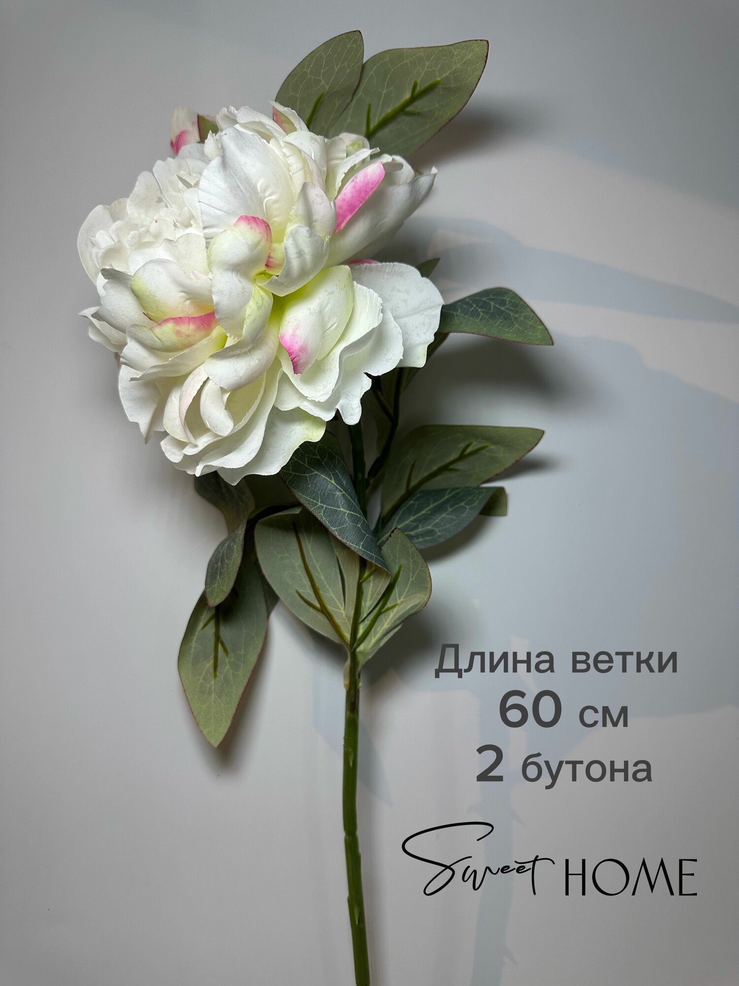 Пион Белый, 60 см