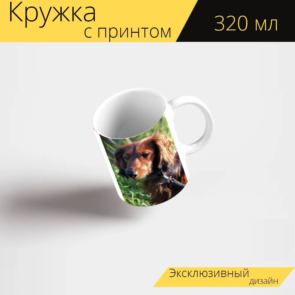 Кружка с рисунком, принтом "Такса, длинношерстная такса, собака" 320 мл.