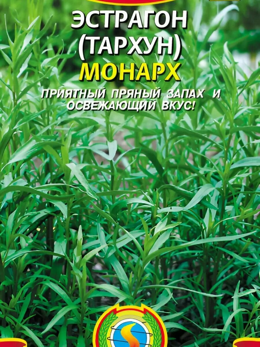 Эстрагон (Тархун) Монарх 0,1 г, Плазменные семена