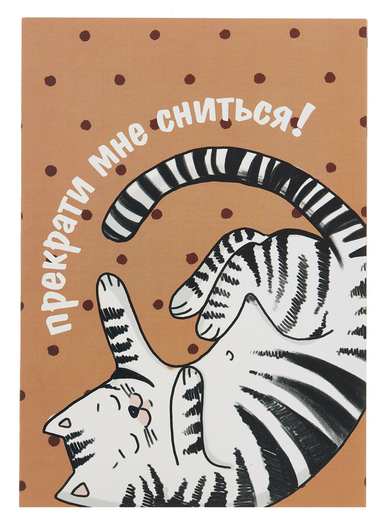 Открытка двойная "Коты. Прекрати сниться"