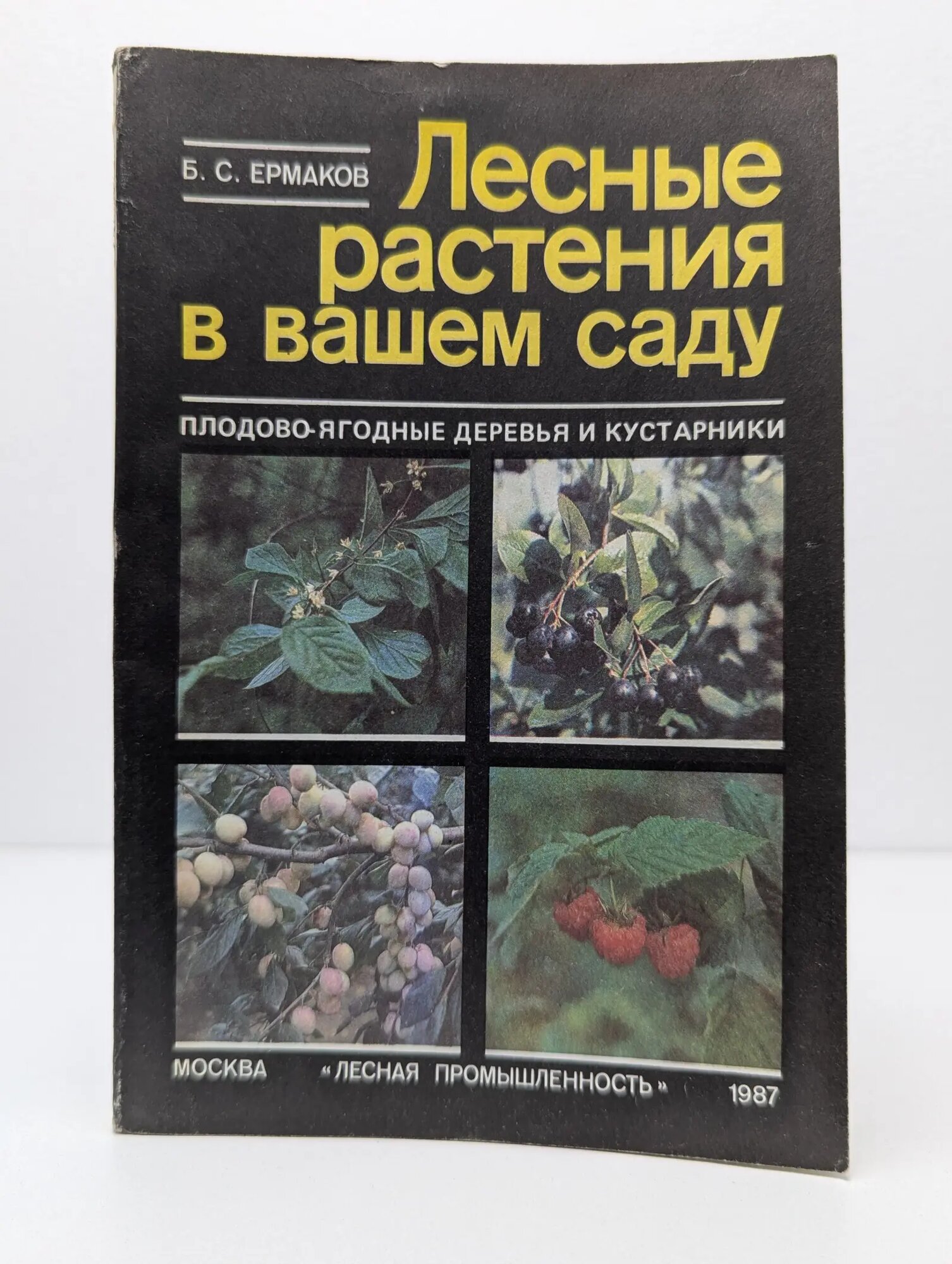 Лесные растения в вашем саду Ермаков Борис Семенович 1987