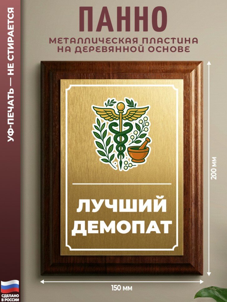 Настенный диплом "Лучший демопат"