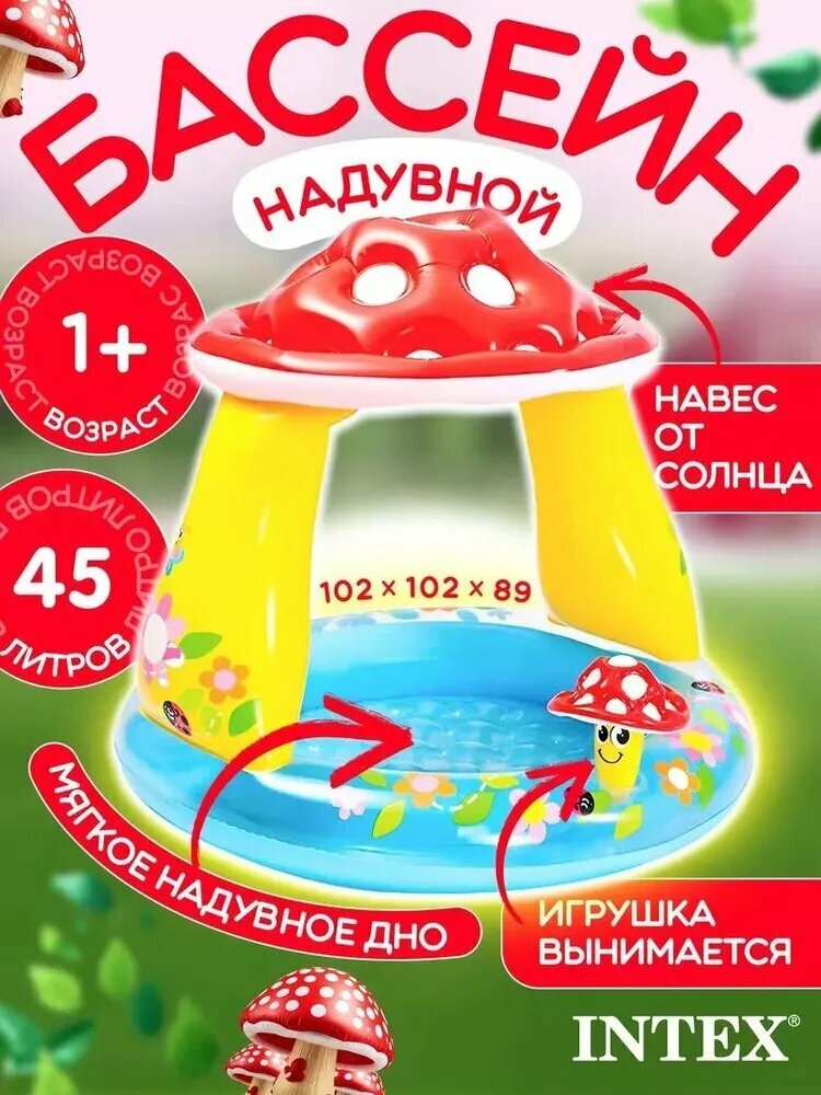 Бассейн надувной с крышей детский