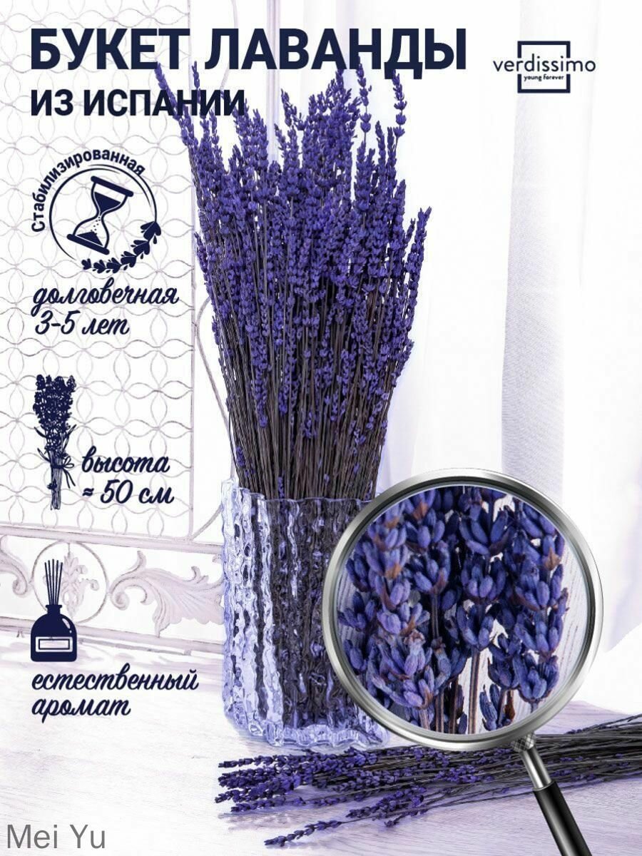 Стабилизированные цветы Лаванда, 45 см, 100 гр