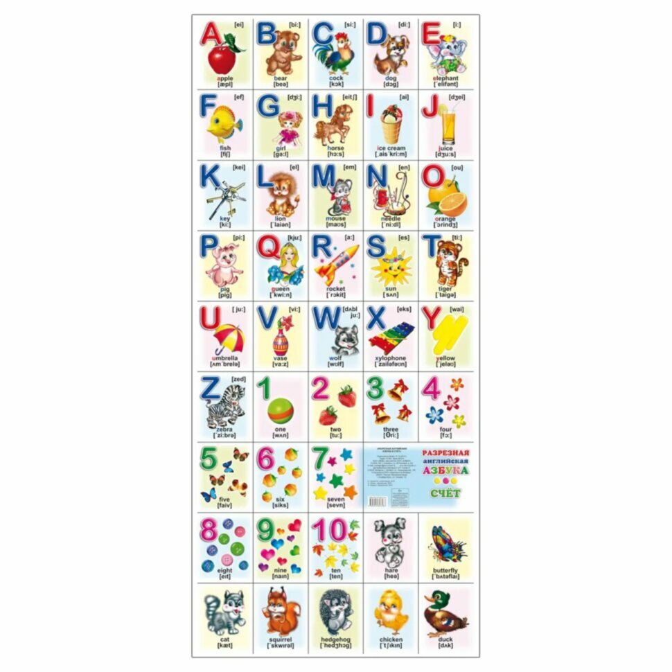 Плакат на картоне Азбука и счет английская разрезная,94х40см,9785912823183, 1622279