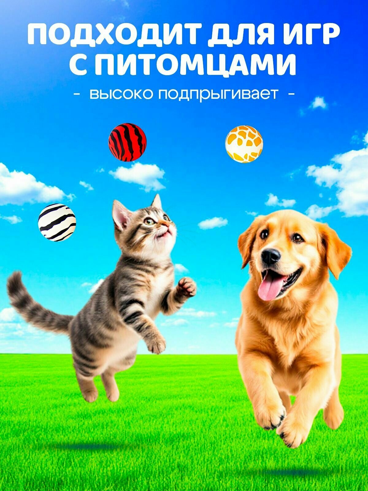 Мяч-попрыгун — фото 1