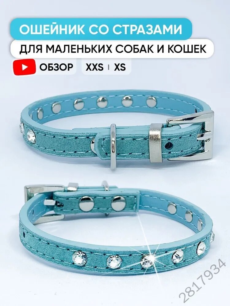 Ошейник со стразами для маленьких собак и кошек XXS | XS