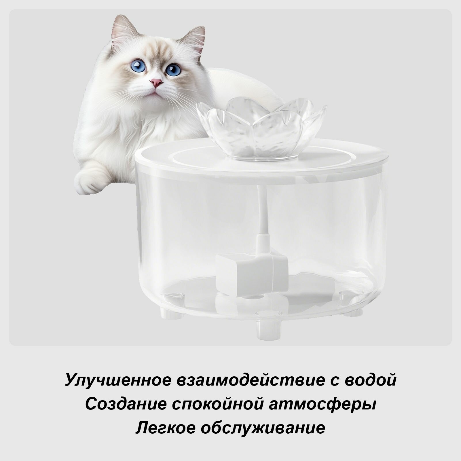 Фонтанчик для кошек в помещении, домашних животных