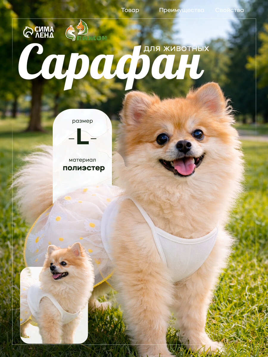 Сарафан для животных «Ромашка», размер L, ДС 35, ОГ 45 см, белый