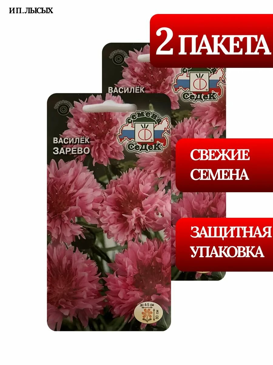 Семена Василек "Зарево"
