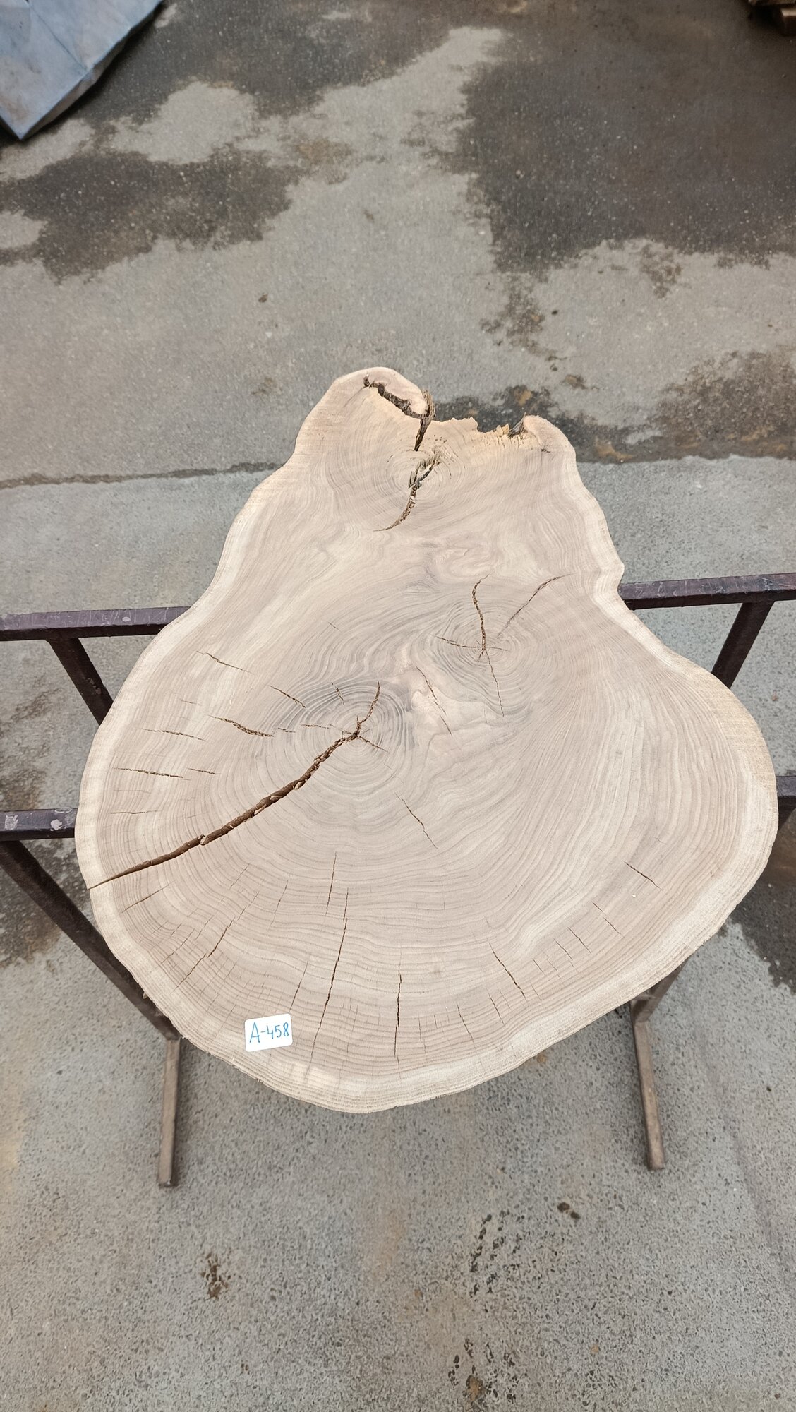 Спил из карагача 70х44х8см (А458) высушенный фрезерован, влажность 8-10%