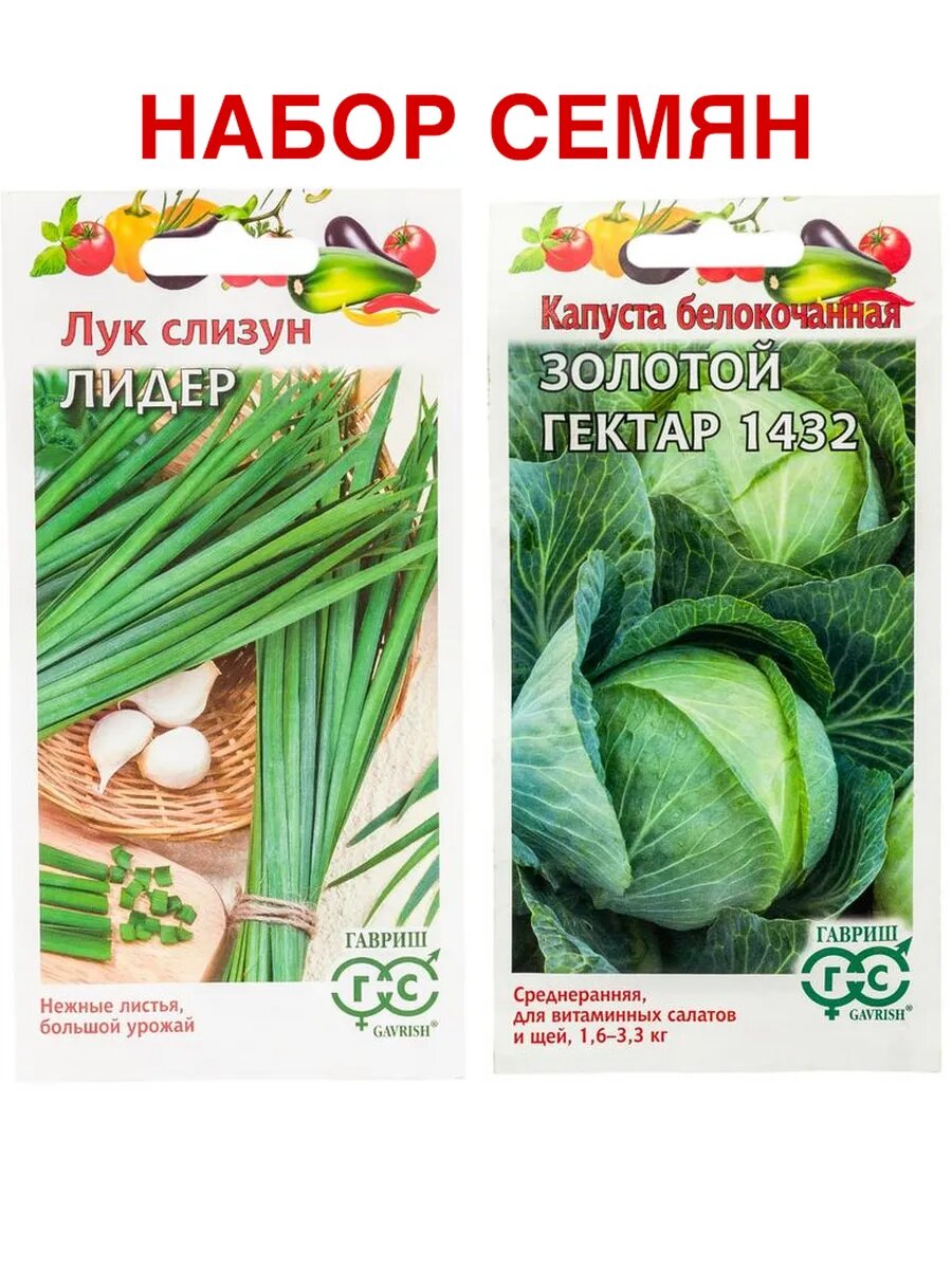 Набор семян Лук Лидер 0.5г и капуста Золотой гектар 1432 0.1г