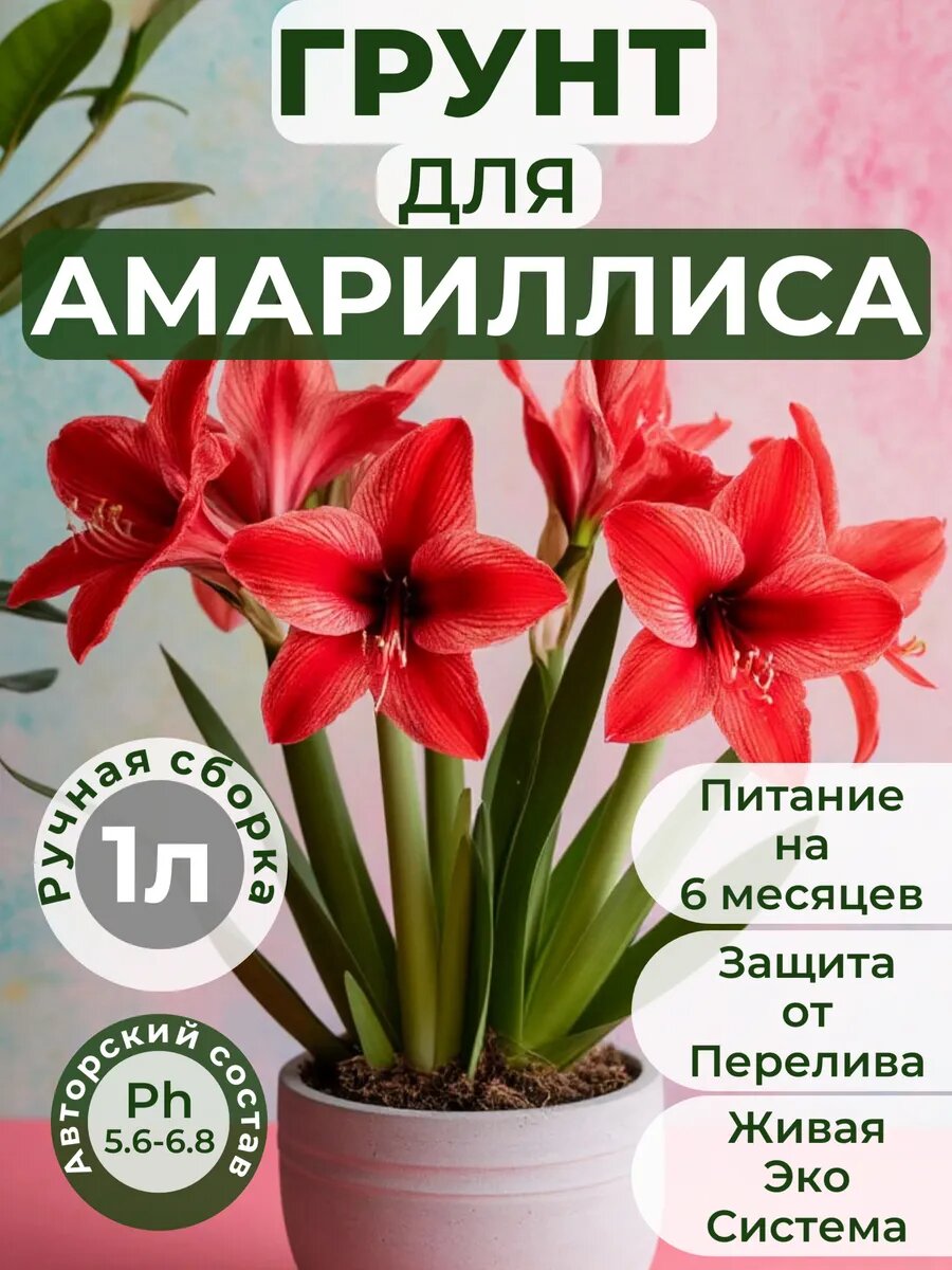 Готовый авторский грунт для Амариллиса, премиум 1 литр