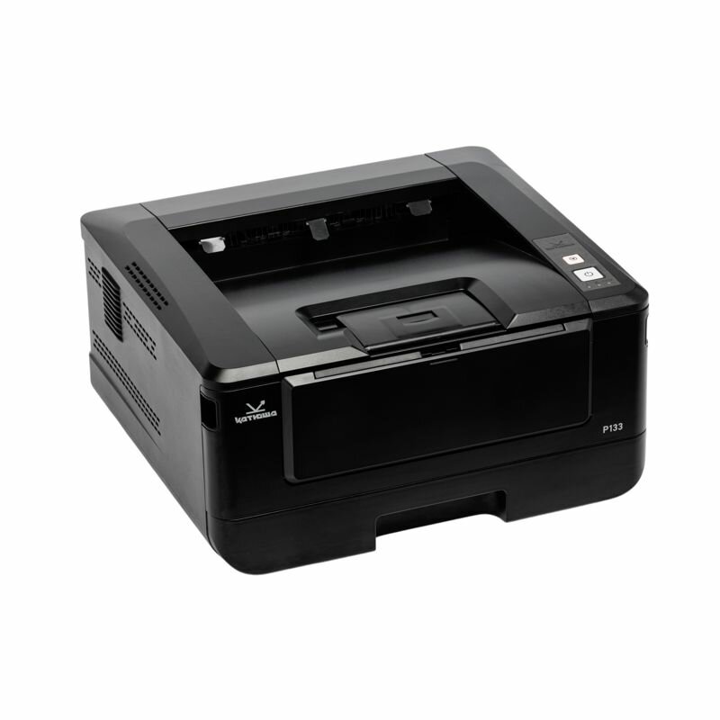 Принтер лазерный Катюша P133-256-pp