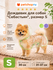 PETSHOP Дождевик для собак "Себастьян", размер S