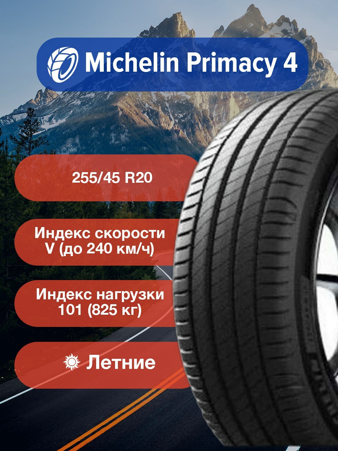 Легковые Летние Шины Michelin Primacy 4 255/45 R20 101V Испания-473717 для легковых автомобилей и кроссоверов