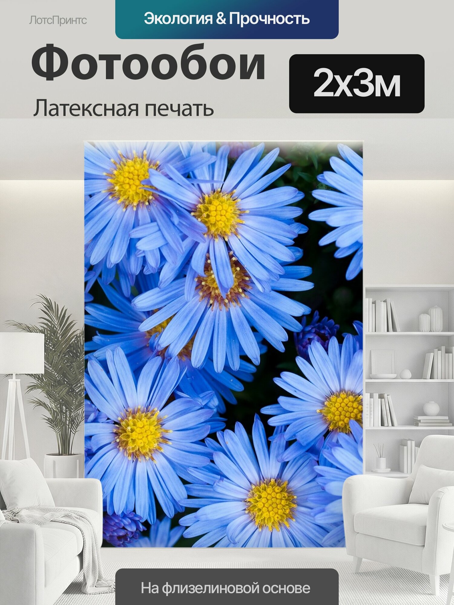 Фотообои моющиеся ударопрочные "Цветок, «астерс», синий" 200x300 см. латексная печать
