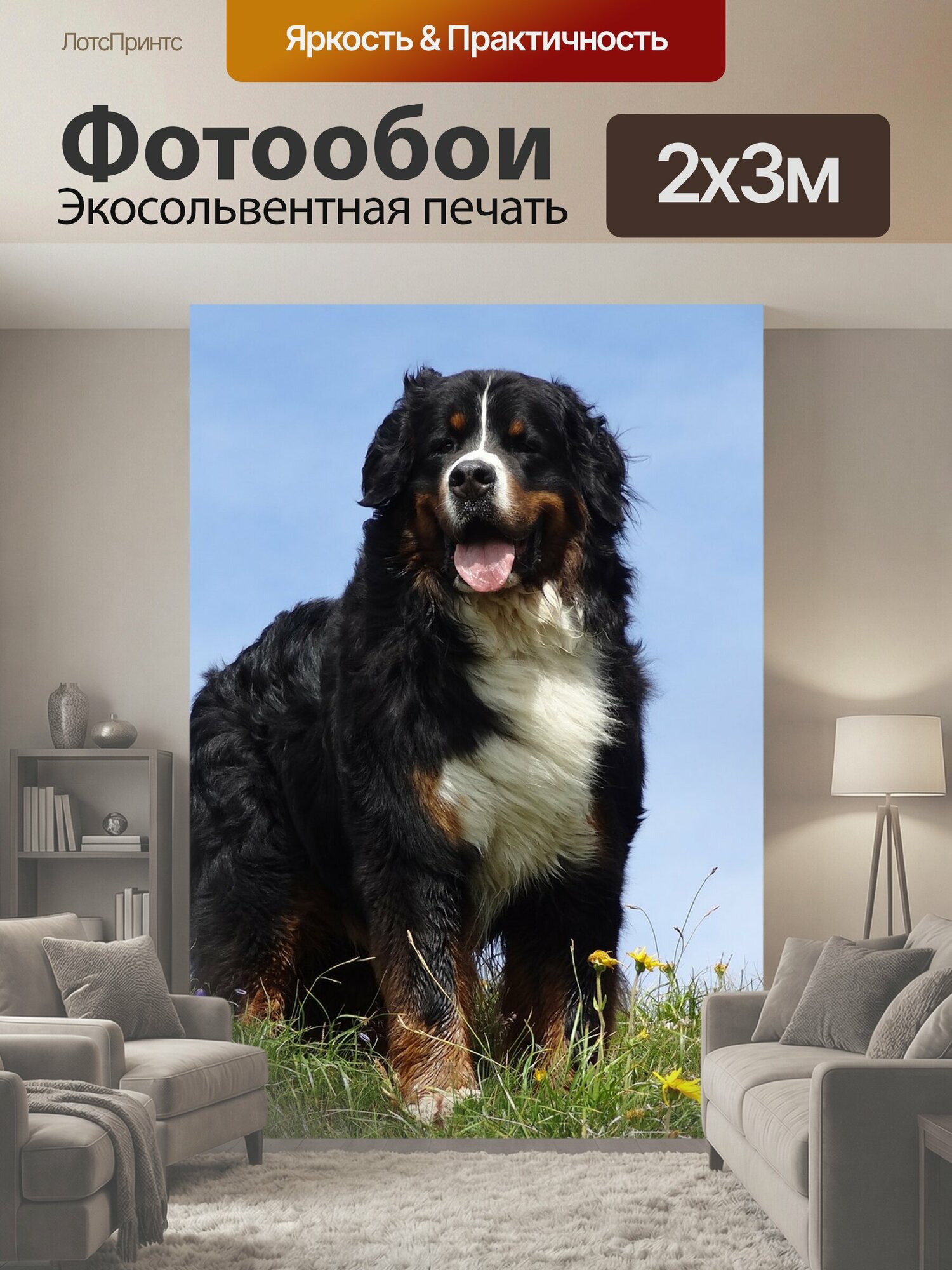 Фотообои "Бернский зенненхунд, картинка животных, собака" 200x300 см. экосольвентная печать