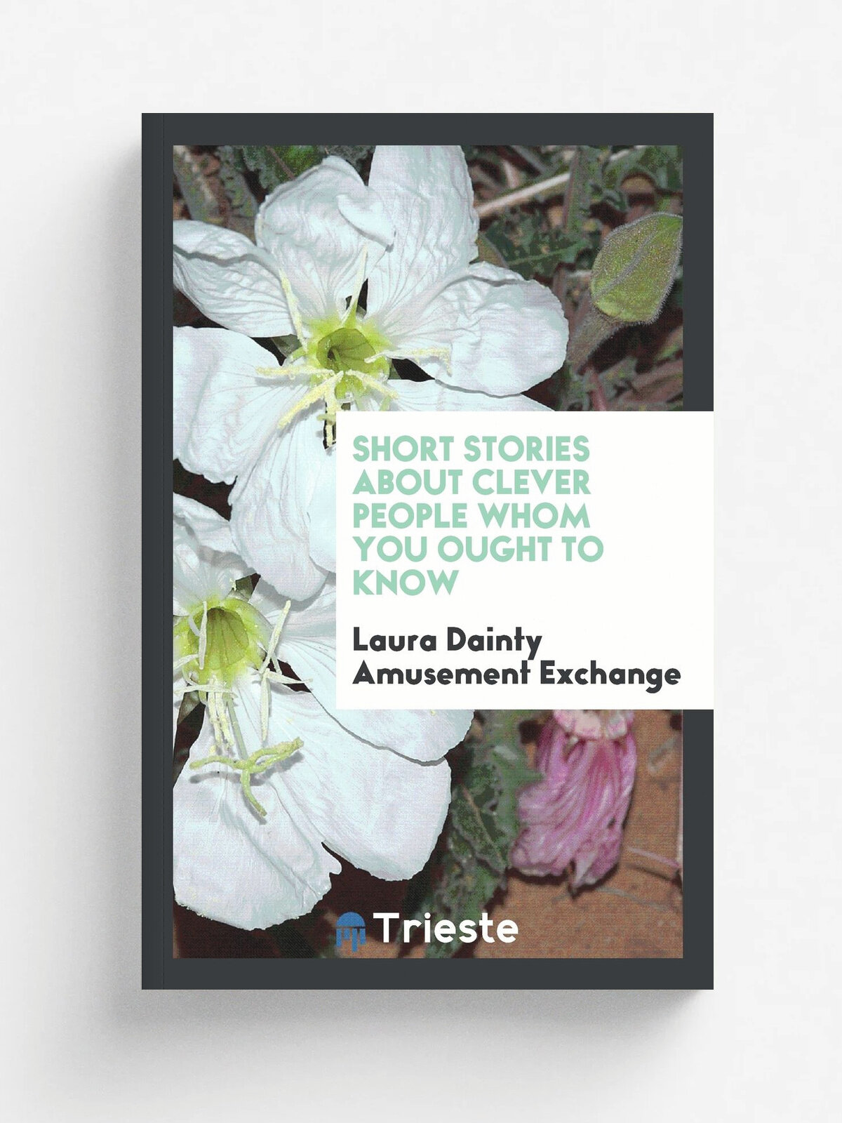 Short Stories about Clever People Whom You Ought to Know