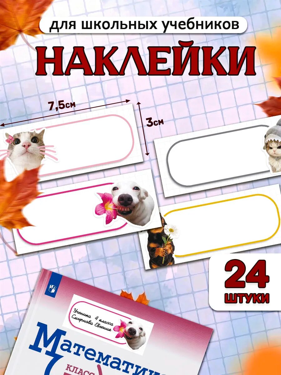 Наклейки на учебники для подписи и маркировки школьные