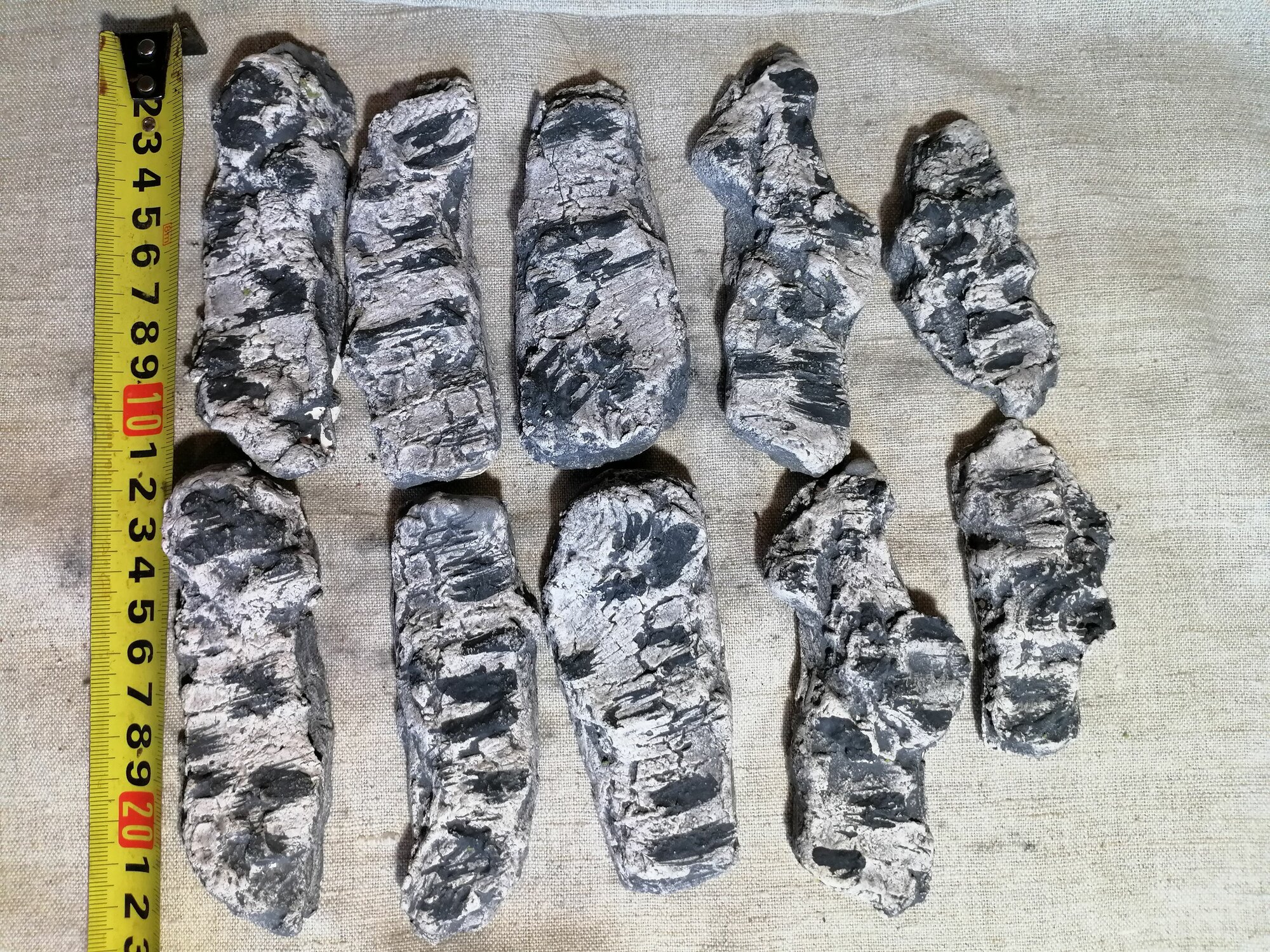 Дрова для биокамина, кора берёзы, 10шт, 8-12см.