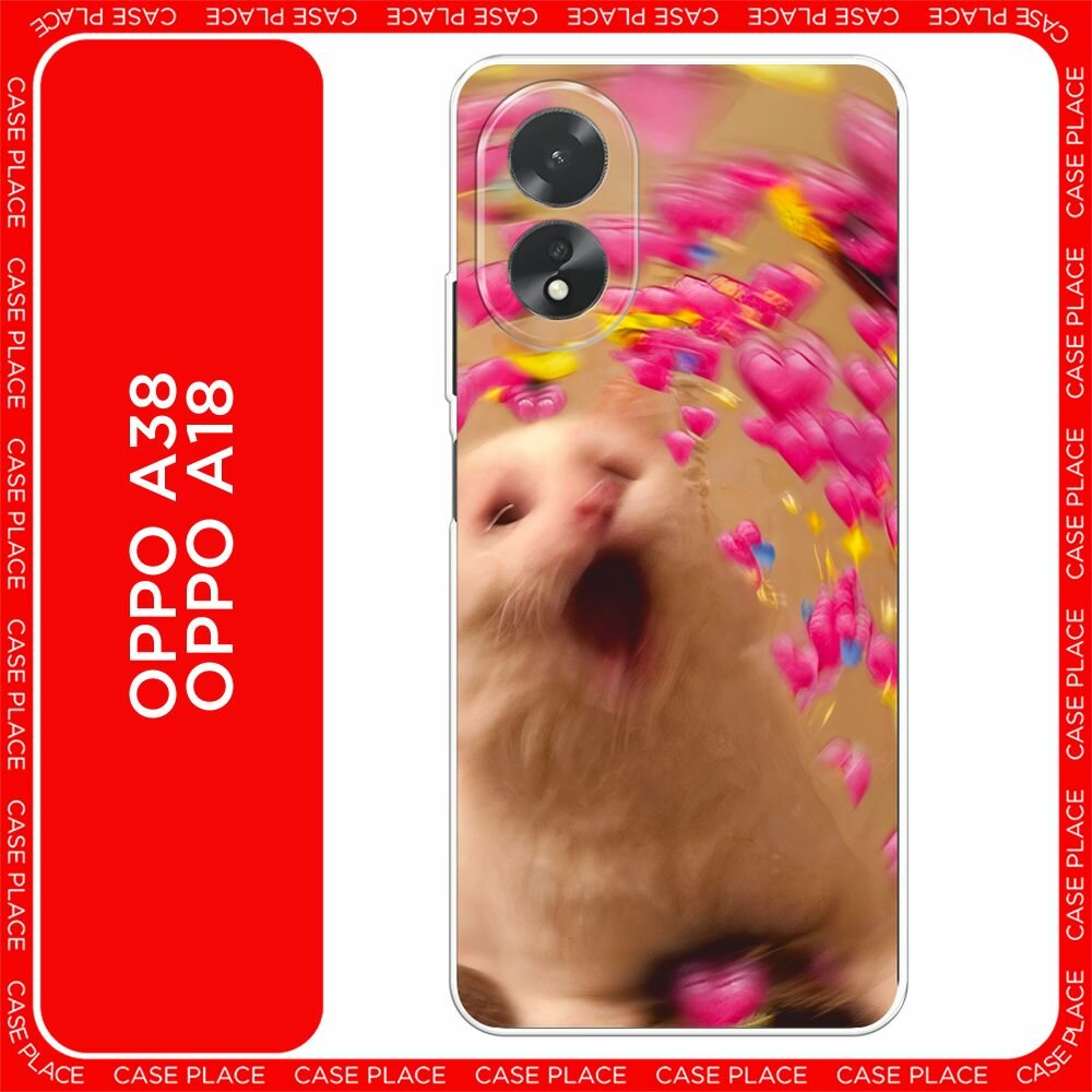 Чехол на Oppo A38/A18 / Оппо A38/A18 с принтом "Любвеобильный котик - 14 февраля"