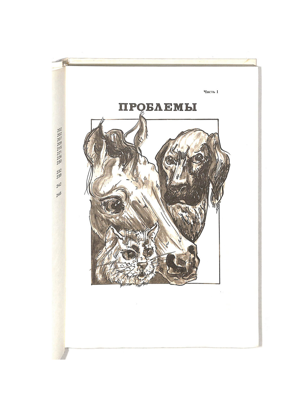 Соседи по планете — фото 1