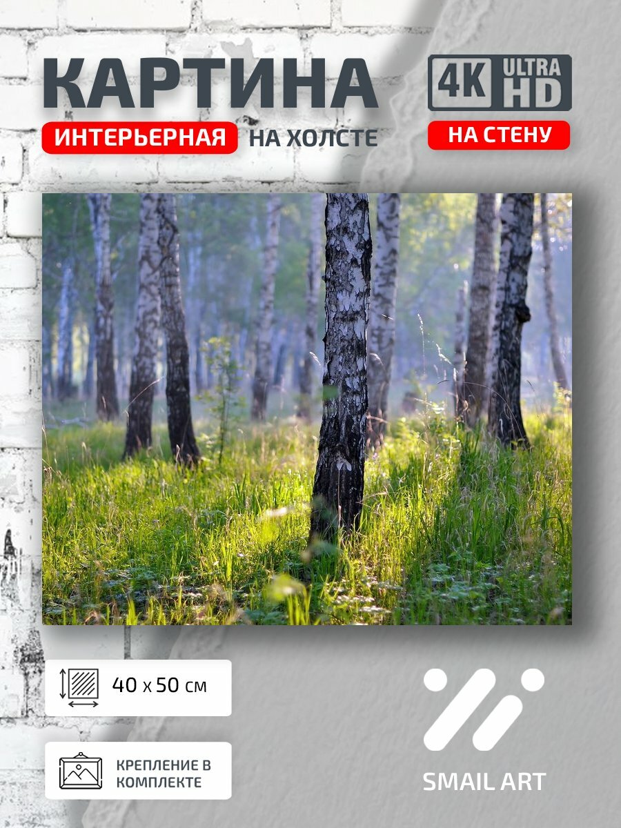 Картина на холсте интерьерная 40 на 50 на стену Березы Landscape для спальни пейзаж декор