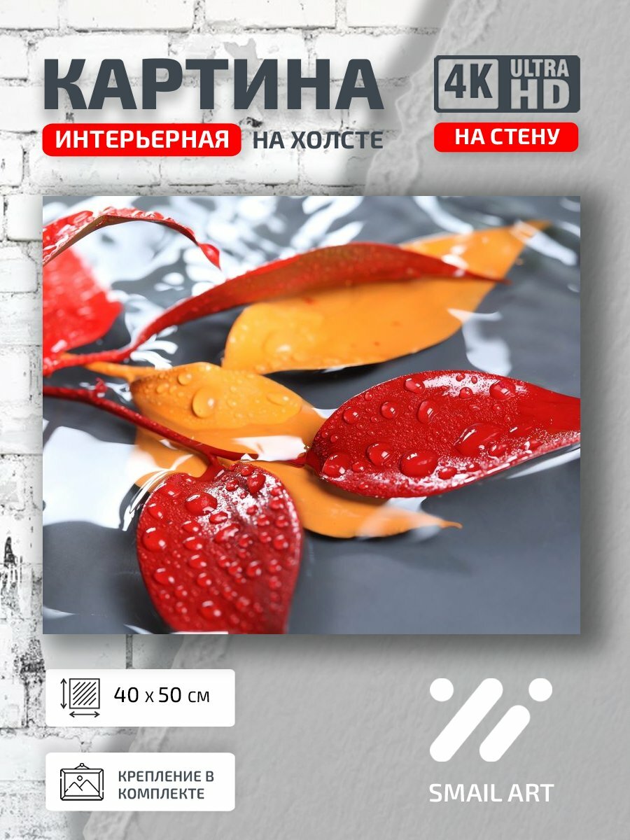 Картина на холсте интерьерная 40 на 50 на стену Капли Macro для гостиной макро интерьер