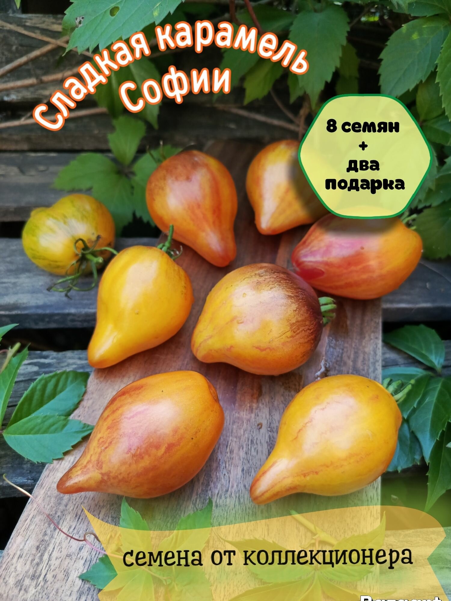 "Сладкая карамель Софии", селекция Софии Сааковой, семена томатов, один сорт + 2 в подарок