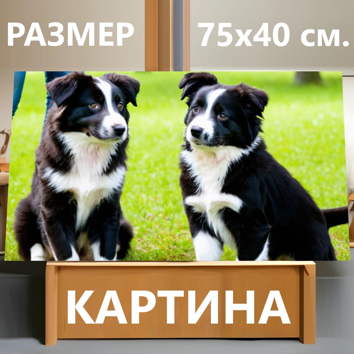 Картина на холсте "Щенки бордер-колли, обучающиеся трюкам со своим хозяином в парке" на подрамнике 75х40 см. для интерьера
