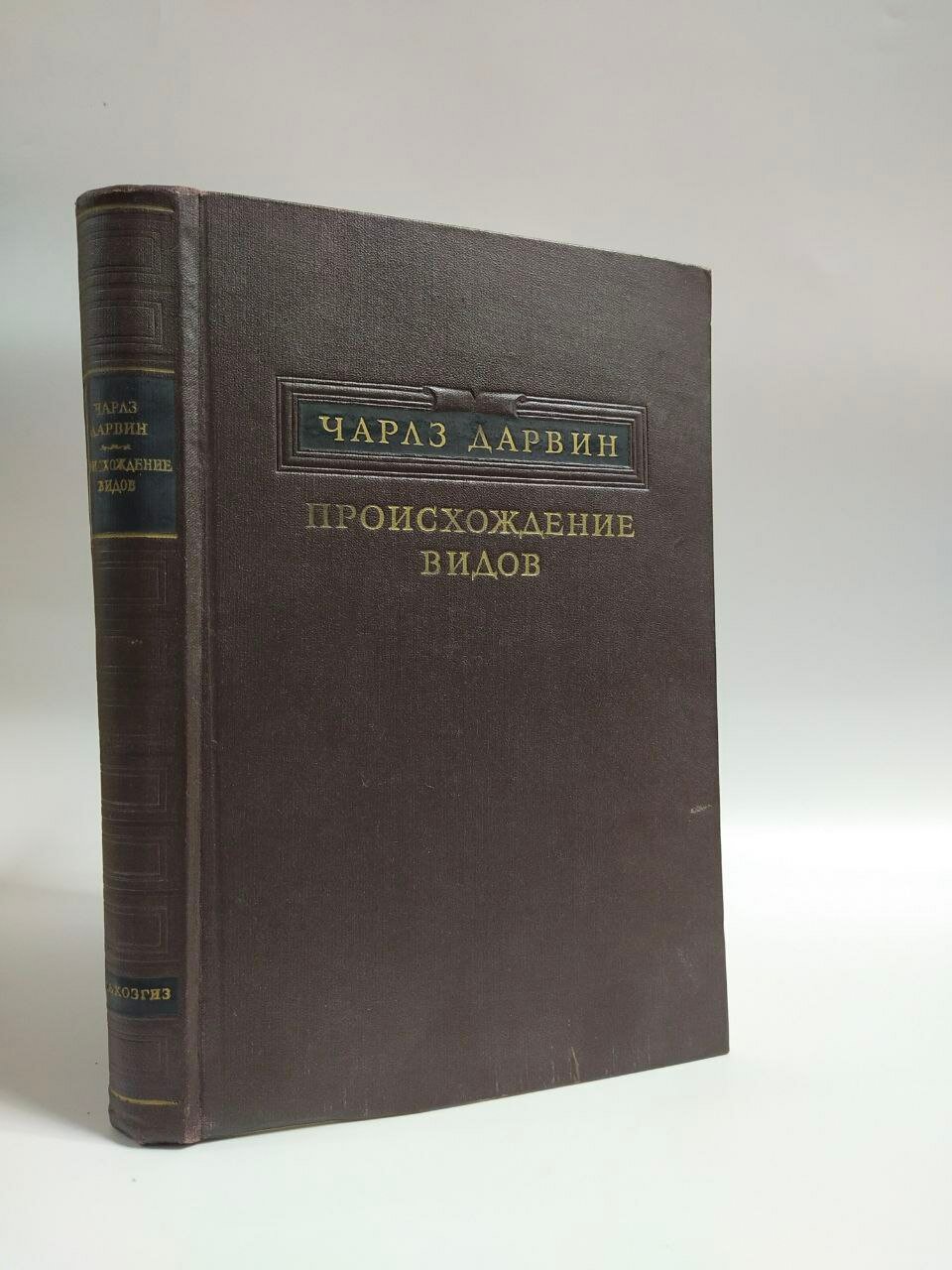 Происхождение видов