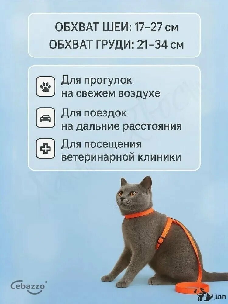Know Easyx Шлейка стандартный классический вариант базовой серии стандартная модель — фото 1