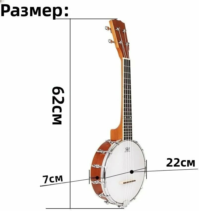Банджо 4-струнного — фото 1