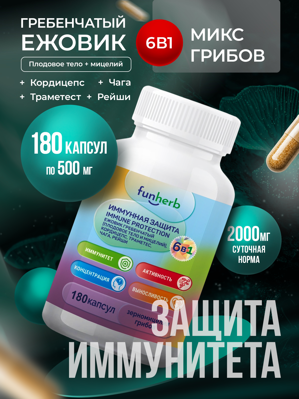 Микс полезных грибов для Вашего иммунитета - ежовик гребенчатый, траметес, кордицепс, чага, рейши,